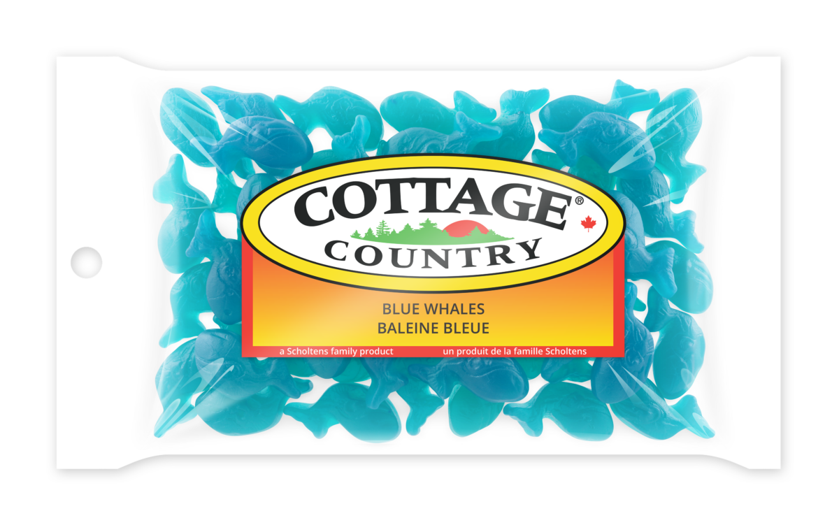 Gummy Blue Sharks 240g - Cottage Country Candies